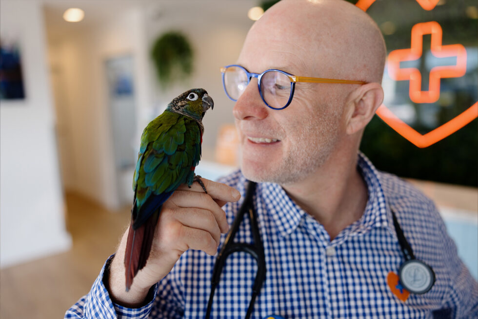 Our Clinic - My Local Vet