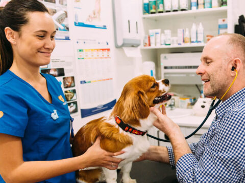 Our Clinic - My Local Vet